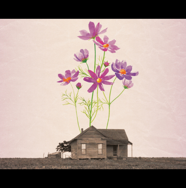 Salamishah Tillet: In Search of The Color Purple - Chicago Humanities ...